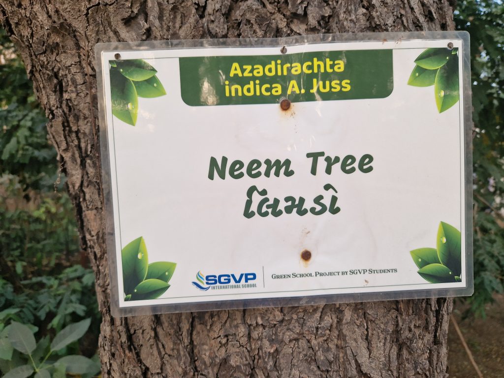 SGVP Campus, Ahmedabad – Steven Derby